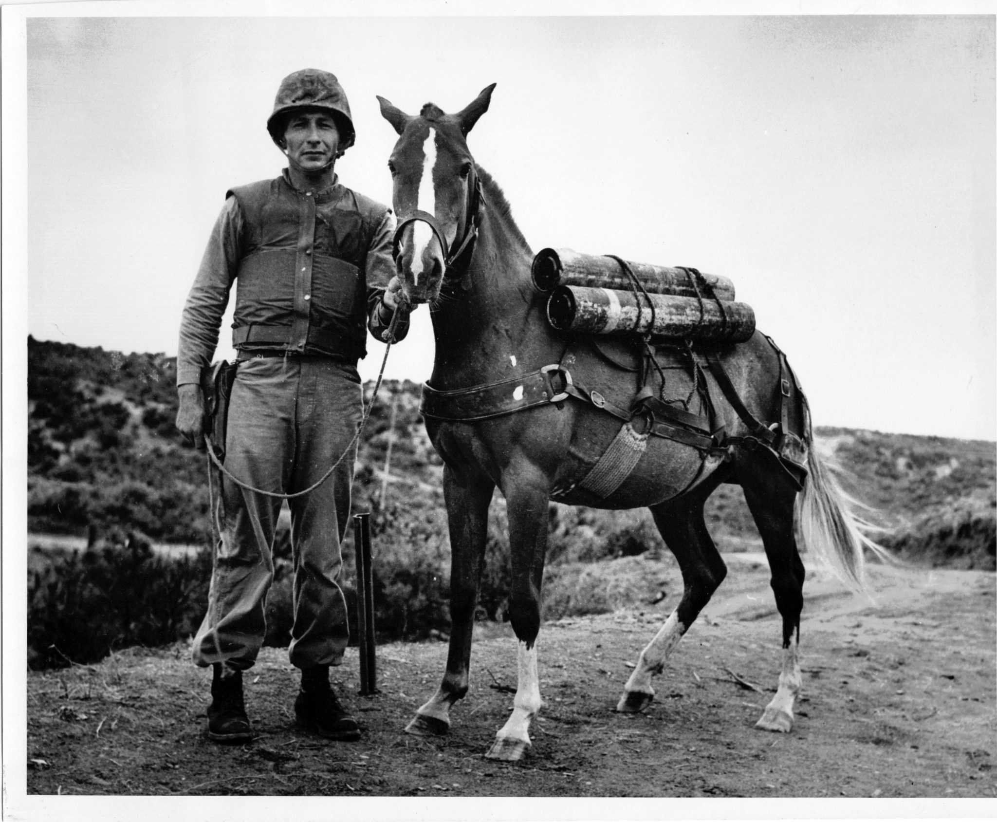 Want to Know More About Sgt Reckless? Meet Author Robin Hutton